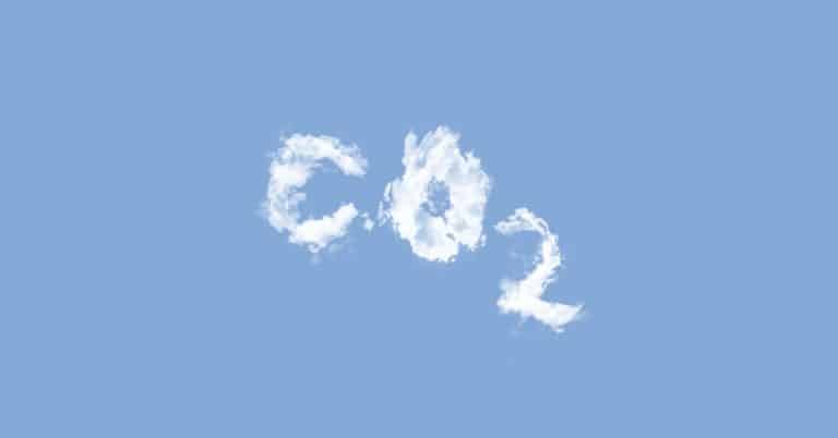 Is Offsetting Carbon Worth It? What is it & What it Means